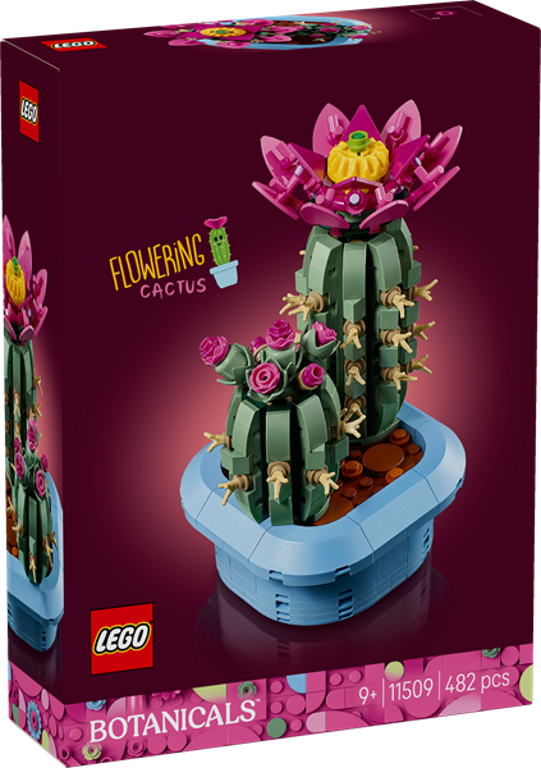 The best prices today for LEGO® Botanicals Flowering Cactus ...
